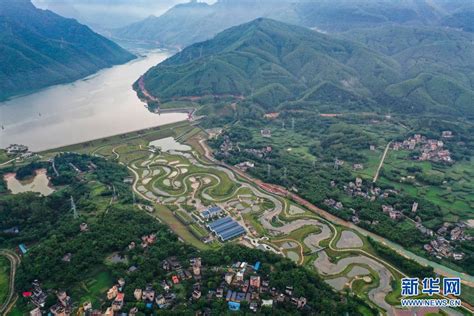 广西大藤峡水利枢纽科研团队助力保护珠江流域水生生物多样性 新华网