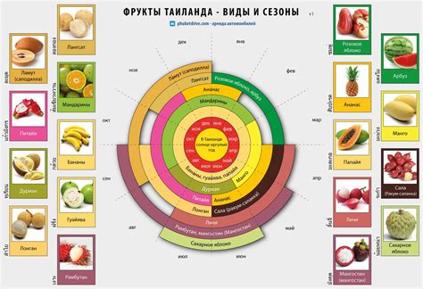 Кислые Фрукты Список И Ягоды Список 58 фото