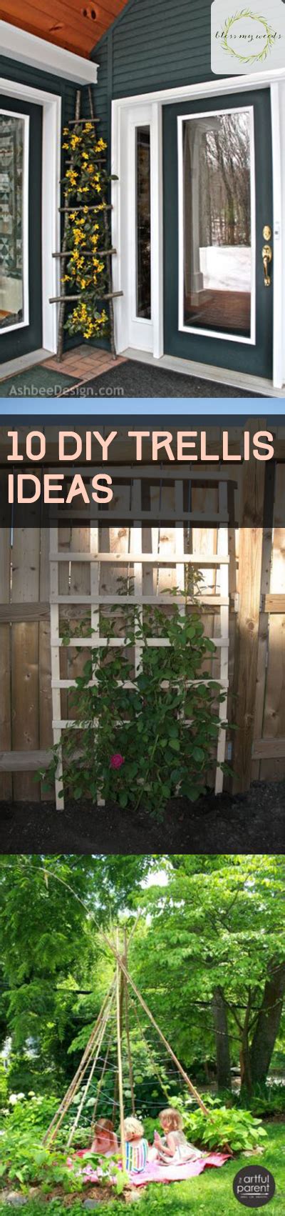 10 DIY Trellis Ideas Bless My Weeds