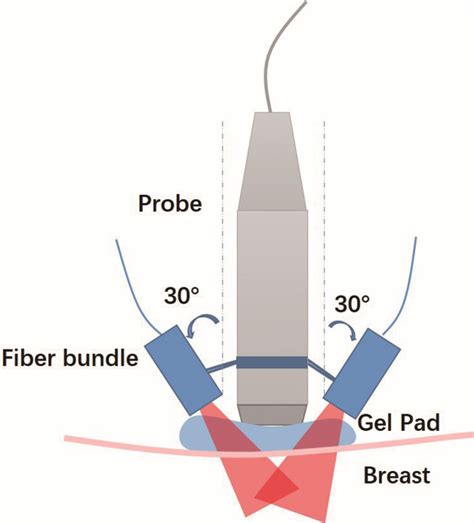 Schematic Diagram Of Dual Modality Imaging Setup Download Scientific