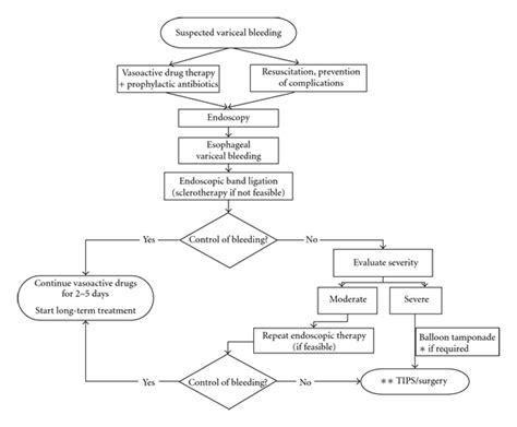 Algorithm Of The Current Management Of Acute Bleeding From Ruptured