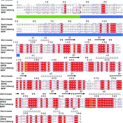 Multiple Sequence Alignment Msa Of Spfa With Savinase Download
