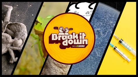 Pythagorean Theorem Found On Clay Tablet Years Older Than Pythagoras IFLScience