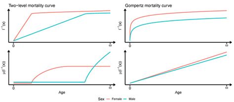 Sex Differential Dynamics In Coherent Mortality Models