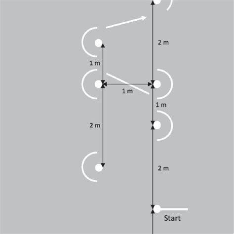 2 The Developmental Model Of Sports Participation Dmsp Côté 1999 Download Scientific Diagram