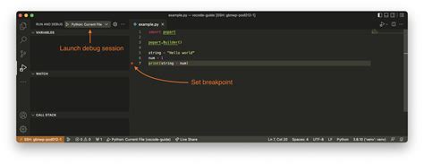 8 2 Using VS Code With The Poplar SDK And IPUs Tutorials