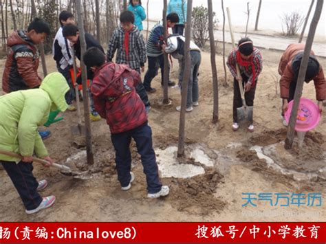 中小学：常见的三种教育类型