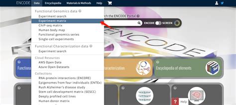 通过encode数据库查询启动子区表观修饰实验试验类型