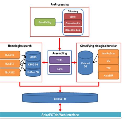 Workflow Schema Of The Pipeline The Architecture Of The Pipeline Download Scientific Diagram