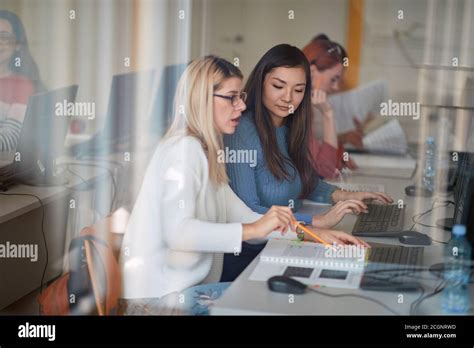Female Students Working On An Informatics Lesson In The University
