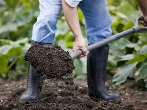 Як зробити каналізацію в приватному будинку своїми руками Топас Україна