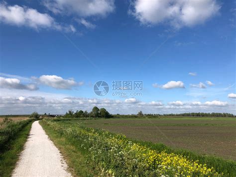 荷兰Friesland农田高清图片下载 正版图片504272258 摄图网