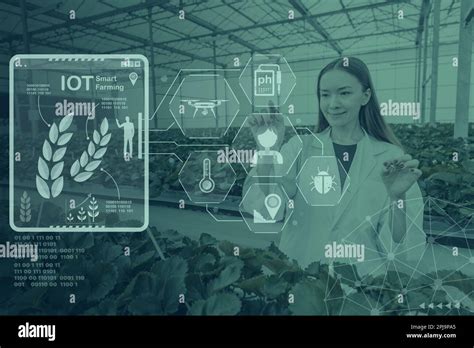 Smart Farming Or Precision Farming Modern Farmer Using Iot Software Technology In Monitor