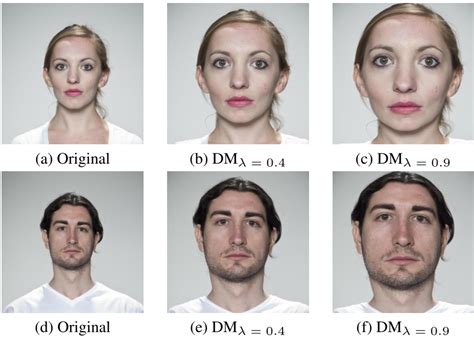 논문 리뷰 Radial Distortion In Face Images Detection And Impact
