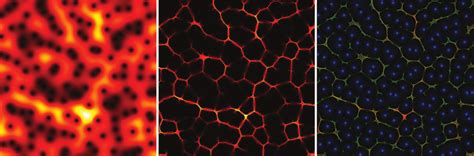 Analysis Of A Discrete White Noise Signal Consisting Of N Independent Download Scientific