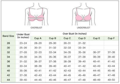 Bra Fitting Size Chart Uk At Katherine Edmunds Blog