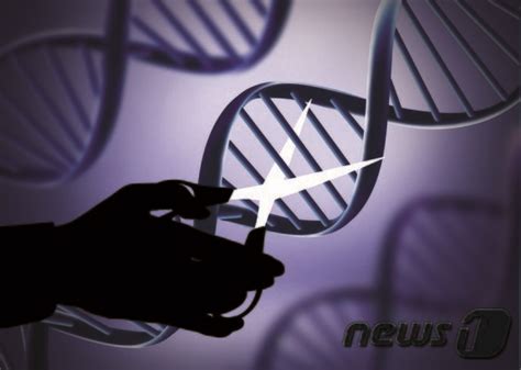 FDA 유전자가위 활용 코로나 진단법 긴급승인 시간 내 결과 확인