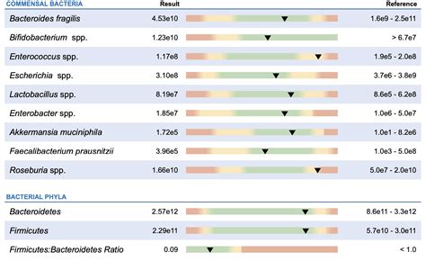Master Your Microbiome The Gi Map Test — Abigail King Functional Nutrition