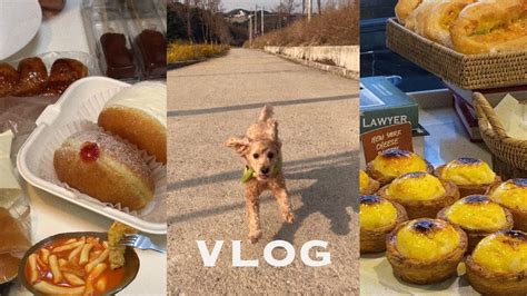 Vlog 유지어터의 하루🥖벚꽃구경하고 라라브레드🌸 도넛과 빵파티🍞떡볶이와 돈까스🍴 Youtube
