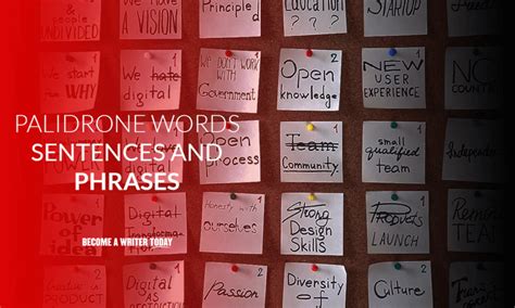 Palindrome Words Sentences And Phrases To Check Out