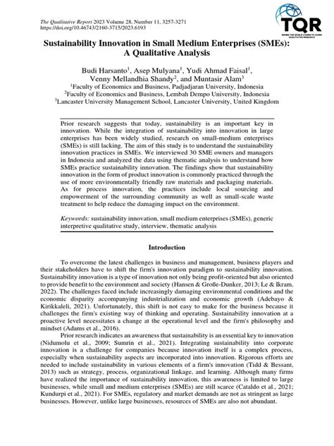 1 Sustainability Innovation In Small Medium Enterprises Smes Download Free Pdf Innovation