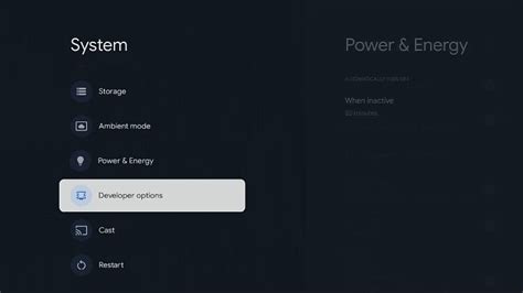 Change Animation Scale On Firestick Or Android TV Google TV