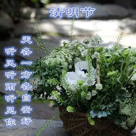 清明節懷念 每日頭條