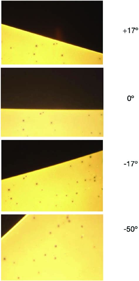 Photographs Of One Pixel LC Cell Shown In Figure 1 Inserted In The Download Scientific