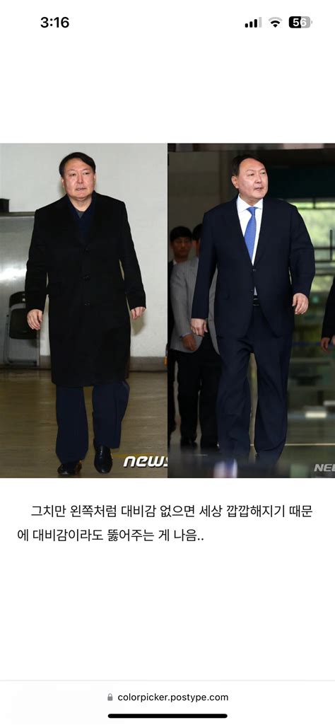 더쿠 윤석열 퍼스널컬러 분석 