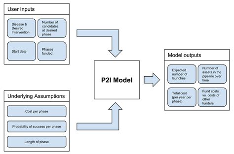 Conceptual Overview Of P2i Model Download Scientific Diagram