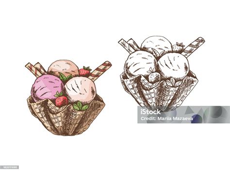 와플 바구니에 담긴 아이스크림 볼을 손으로 그린 컬러 흑백 스케치 빈티지 일러스트입니다 라벨 포장 및 엽서 디자인을 위한 요소 고풍스런에 대한 스톡 벡터 아트 및 기타