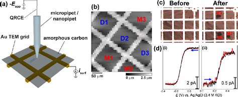 Figure 1 From High Throughput Correlative Electrochemistry Microscopy