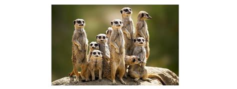 Building Knowledge Graphs From Scratch Using Neo4j And Vertex Ai By