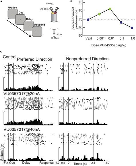 Effects Of M1r Stimulation On Spatial Delayed Response Performance And