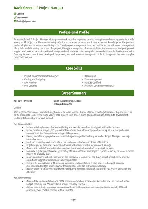 it project manager cv example guide [get hired fast]