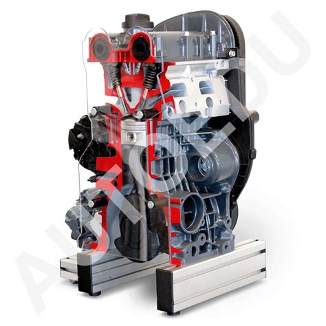 Petrol gasoline DOHC engine ½ cutaway model IVDB AutoEDU