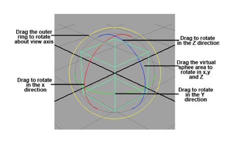 Basic Concepts To Understand Maya The D Environment Maya Learn Maya D Polygonal