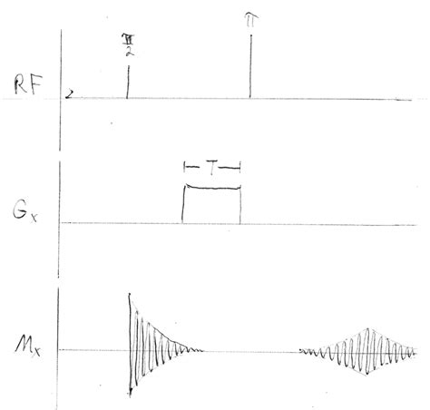 Intermediate Physics For Medicine And Biology Frequency Encoding And Phase Encoding
