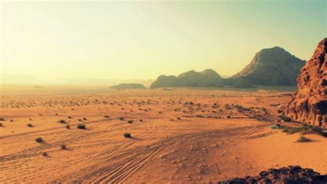 Ecosistema Desértico Parque Nacional Del Desierto Wikipedia La