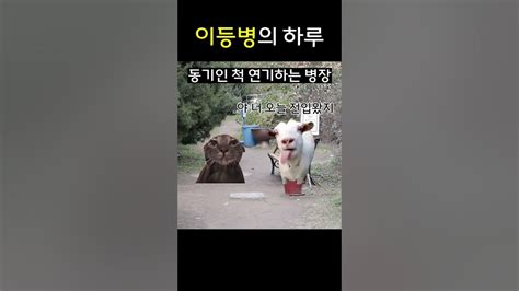 이등병의 하루 Youtube