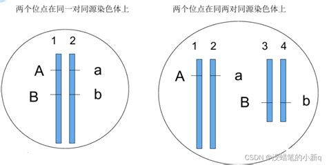 计算机智能专题 遗传算法2带约束的实数编码遗传算法实数编码 Csdn博客