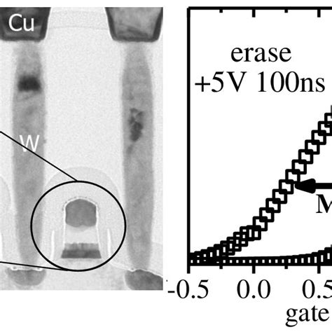 Transmission Electron Microscope Tem Cross Section Of A Fefet Device Download Scientific