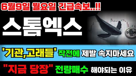 스톰엑스 코인 기관고래들 작전에 제발 속지마세요 지금 당장 전량 매수 해야되는 이유 공개할게요 Youtube
