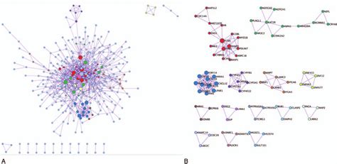 ppi network and the mcode networks a ppi network b mcode