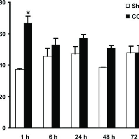 Insulin Like Growth Factor 1 Igf 1 Immunohistochemical Staining In Download Scientific