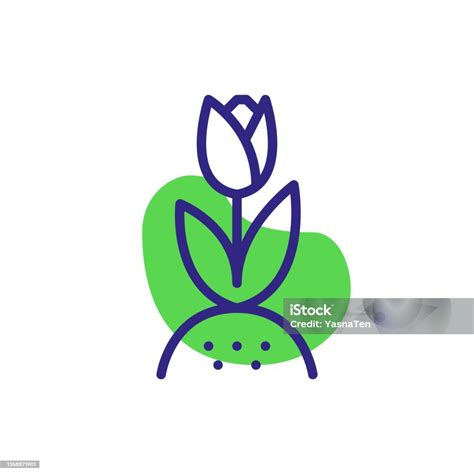 성장 튤립 봄 꽃 아이콘 픽셀 완벽 편집 가능한 스트로크 색상 그리기에 대한 스톡 벡터 아트 및 기타 이미지 그리기 꽃무늬 꽃잎 Istock