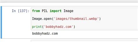 How To Show A Pil Image In Jupyter Notebook Bobbyhadz