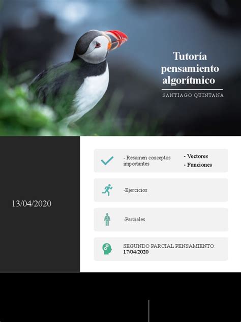 Pensamiento Algoritmico Pdf Algoritmos Y Estructuras De Datos Informática Teórica
