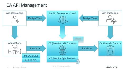 ca api gateway web api and application security