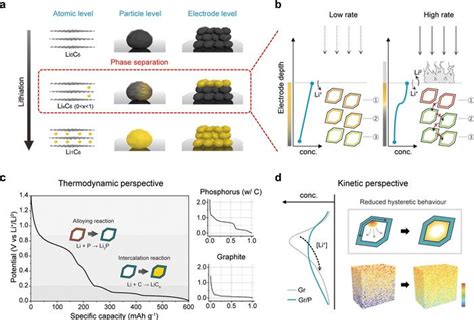 The Reaction Heterogeneity On Image Eurekalert Science News Releases